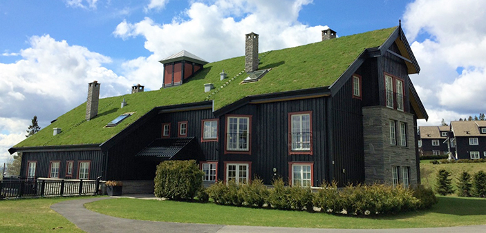 Om oss – Naturtorv