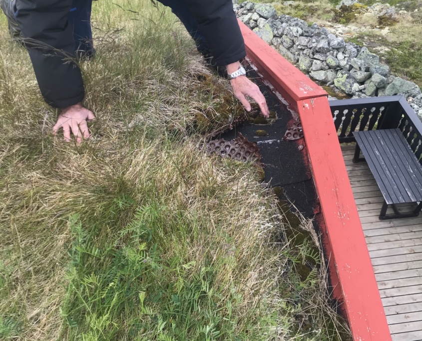 Vedlikehold av torvtak - 6 enkle tips - Naturtorv AS