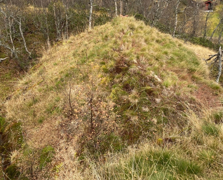 Vedlikehold av torvtak - 6 enkle tips - Naturtorv AS