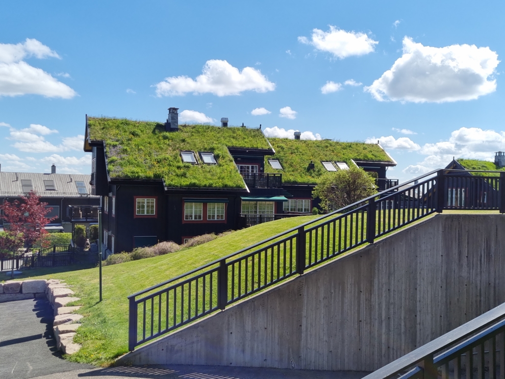 Torvtak - Naturtorv - Vi leverer etter dine behov